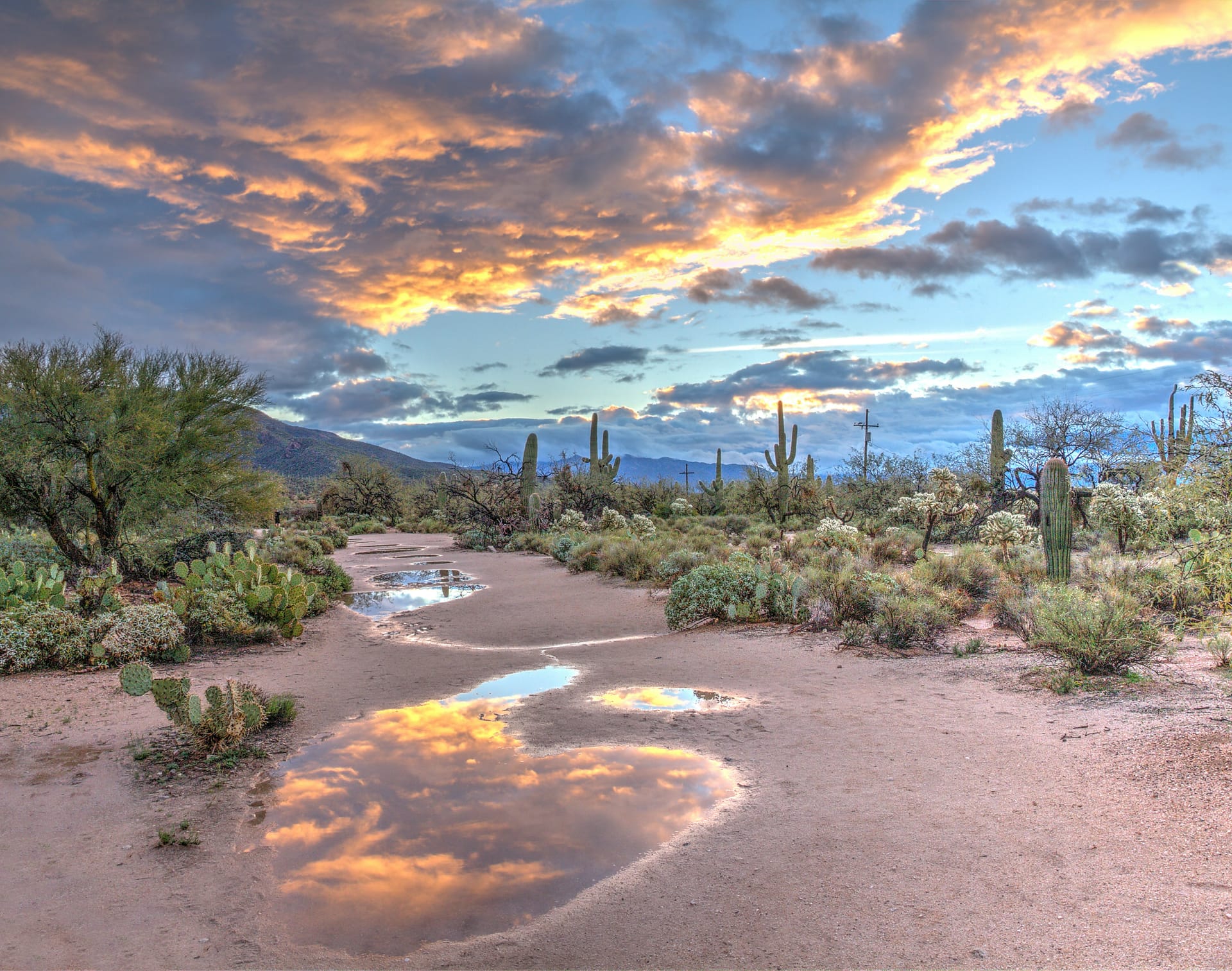 Arizona Sales Tax Guide for SaaS and E-Commerce Businesses 2026 ...